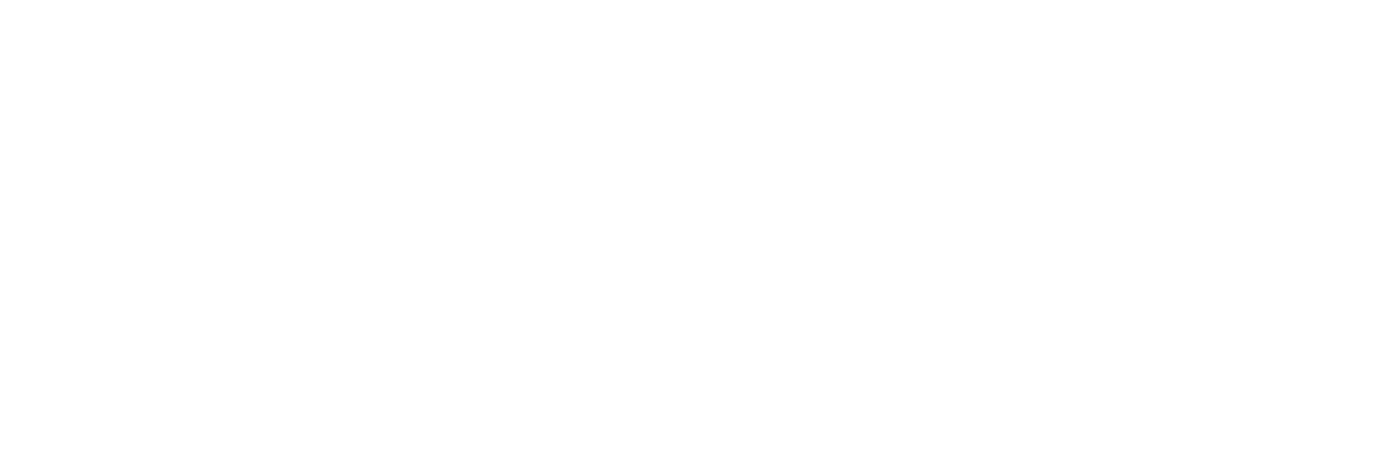 Tassos Consultancy Services | Govt IT Solutions | Ahmedabad